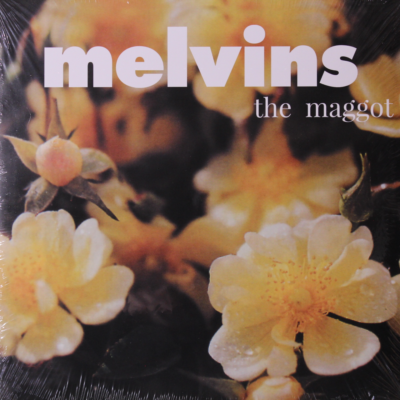 Melvins - The Maggot & The Bootlicker - Vinyl, Compilation ...